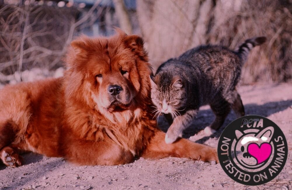 Label PETA : qu’est-ce que c’est ? – Stan.bio